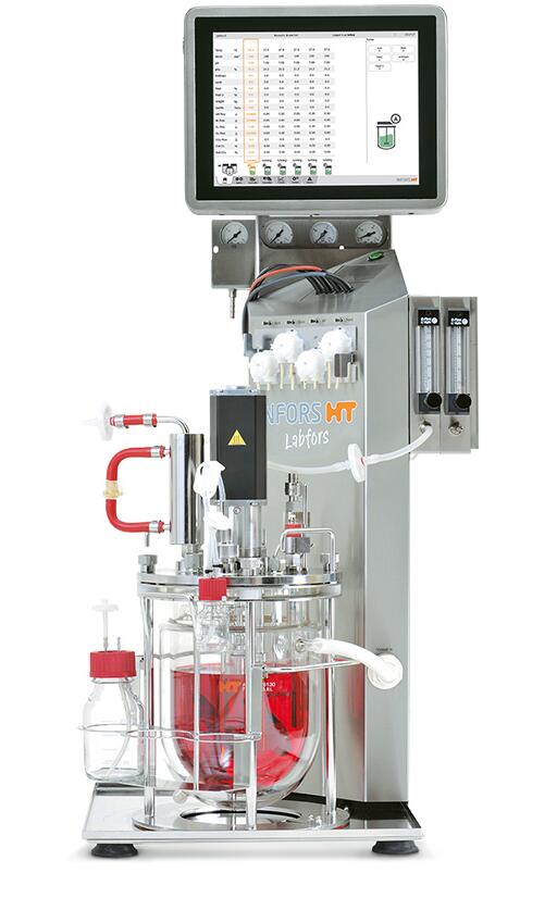 细胞培养 - 伊孚森生物技术